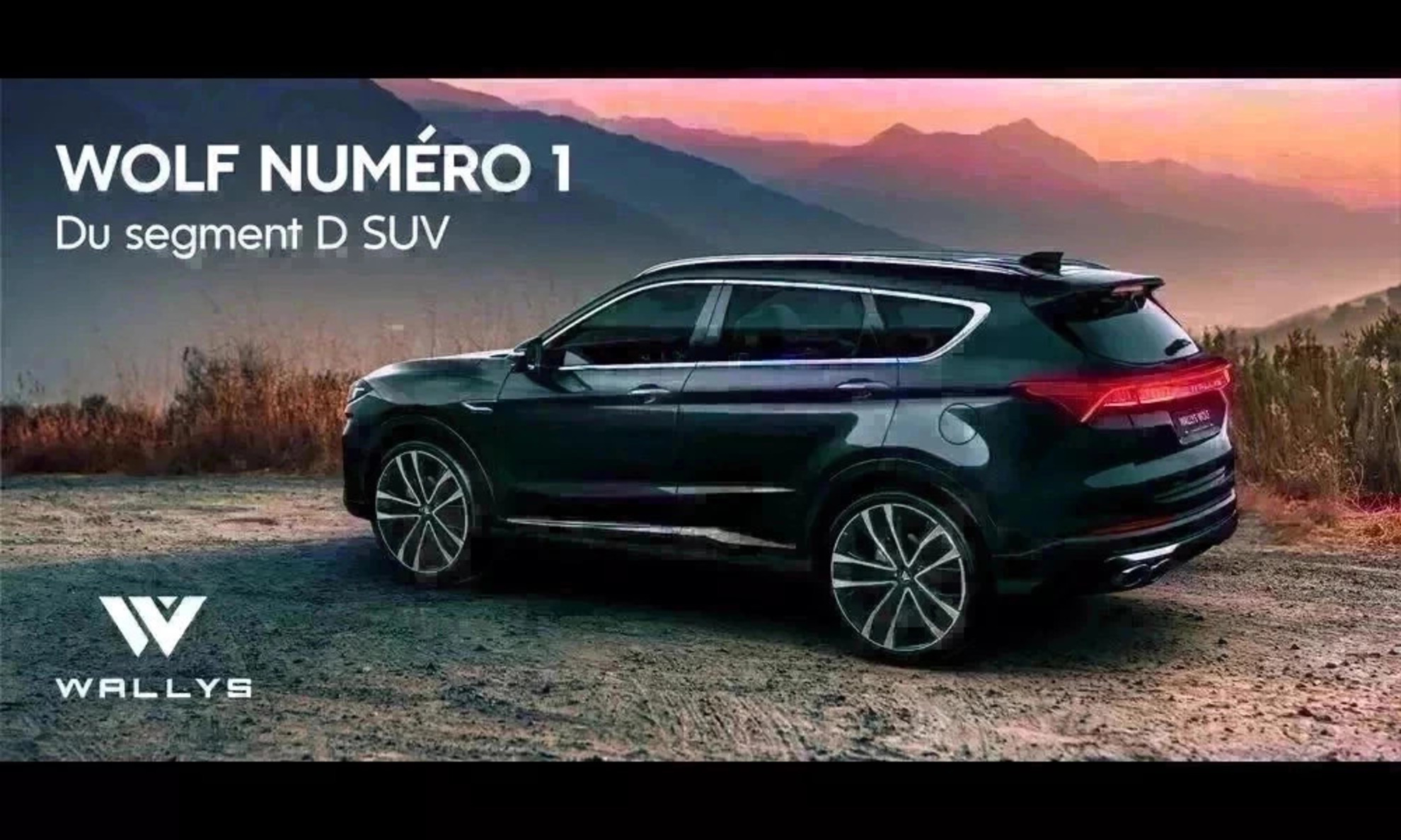 Le Wallys Wolf numéro 1 des ventes dans son segment